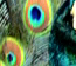 Vantec AVOX Jukebox - Printer Friendly version